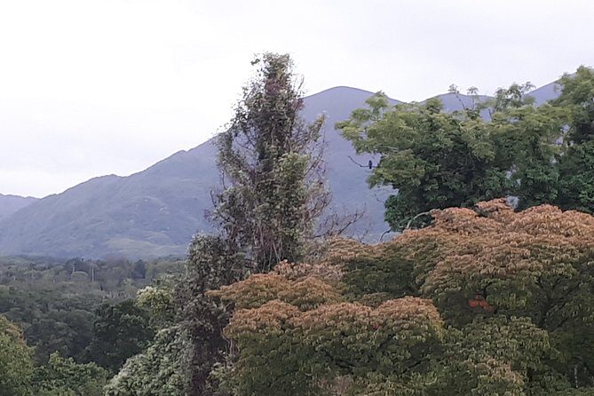 Killarney Valley & National Park - Private Tour - Who Will Appreciate This Tour?