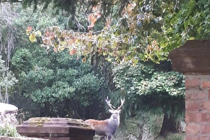 Killarney Valley & National Park - Private Tour - Final Thoughts