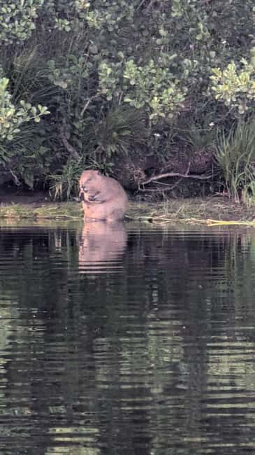 Killin: Loch Tay Beaver Canoe Tour - Killin: Loch Tay Beaver Canoe Tour – A Detailed Look