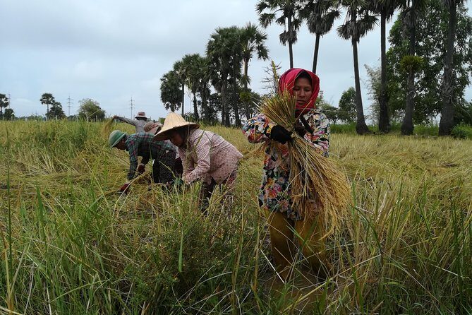 Killing Fields, War Museum and Floating Village ( Mechrey ) - Who Should Consider This Tour?