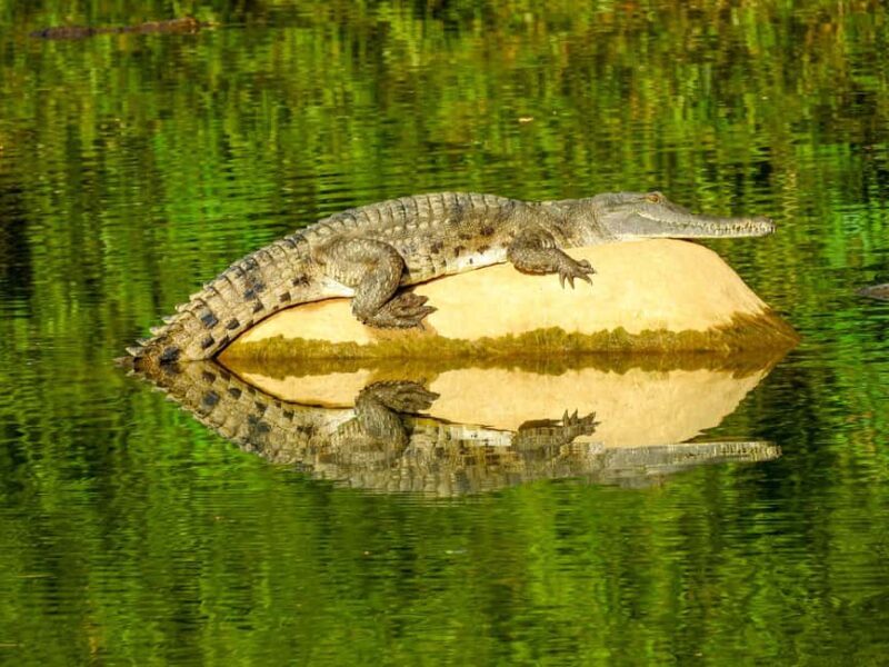 Kimberley: 9 Day Tour from Darwin to Broome - Introduction