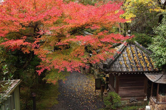 Kimono and Tea Ceremony in Miyajima - The Tea Ceremony: A Moment of Quiet Reflection