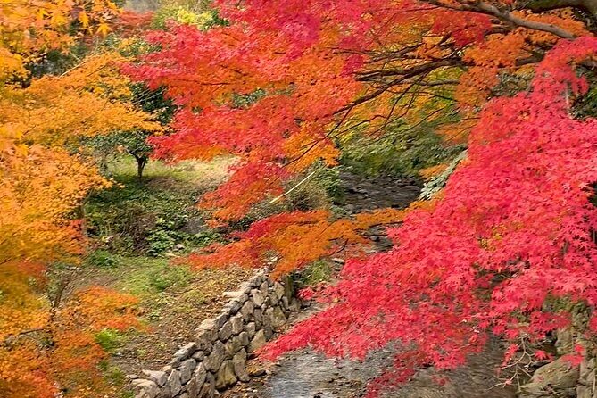 Kimono Experience in Akizuki Castle Town - Key Points