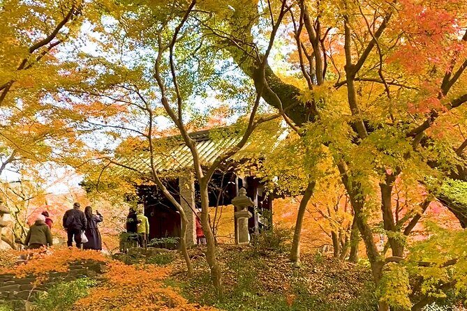 Kimono Experience in Akizuki Castle Town - Scenic Highlights and Photo Opportunities