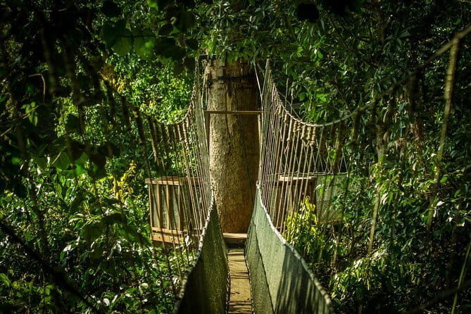 Kinabalu National Park Tour - Key Points