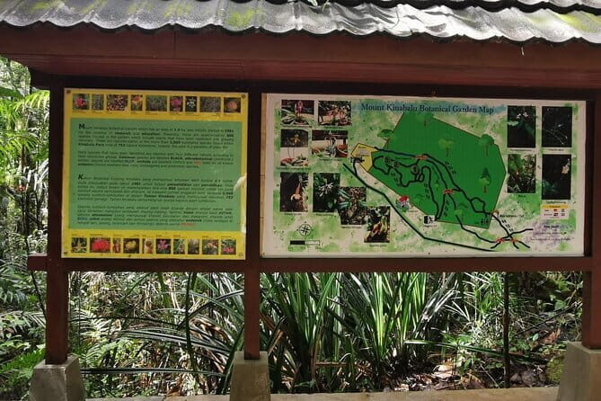 Kinabalu Park And Poring Hot Spring Private Day Tour - Introduction
