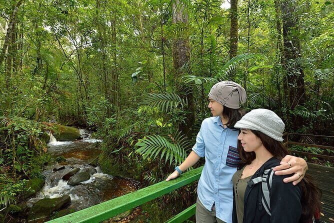 Kinabalu Park, Desa Dairy Farm & Poring Hot Springs Tour - What You Can Expect from the Tour