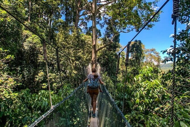 Kinabalu Park, Desa Dairy Farm & Poring Hot Springs Tour - What’s the Value?