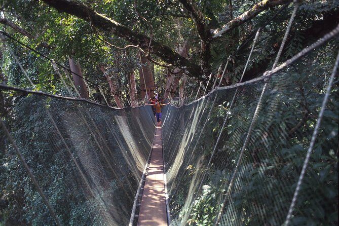 Kinabalu Park & Poring Hot Spring Tour - Final Thoughts