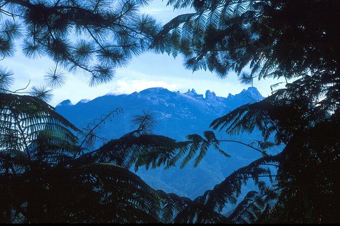Kinabalu Park & Poring Hot Spring Tour - Frequently Asked Questions