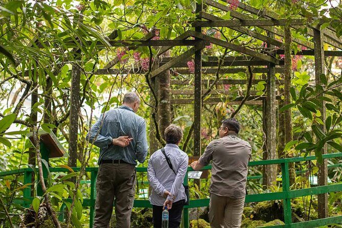 Kinabalu Park & Poring Hot Springs Tour with Desa Dairy Farm - An In-Depth Look at the Tour Experience