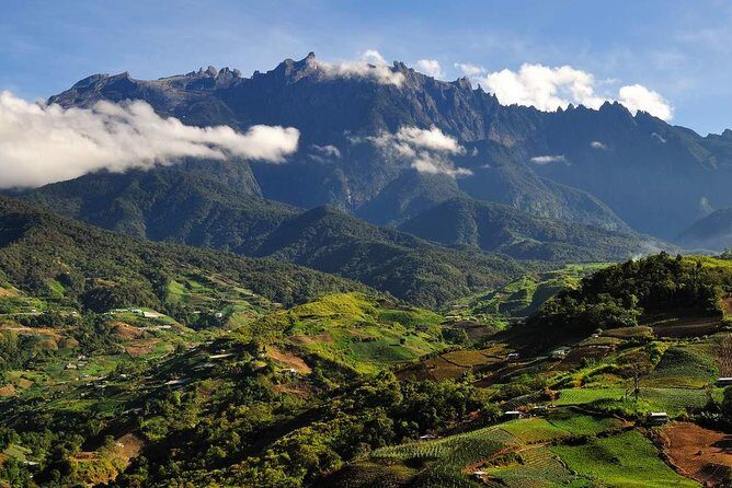 Kinabalu Park Tour with Desa Dairy Farm & Poring Hot Springs - Who Will Love This Tour?