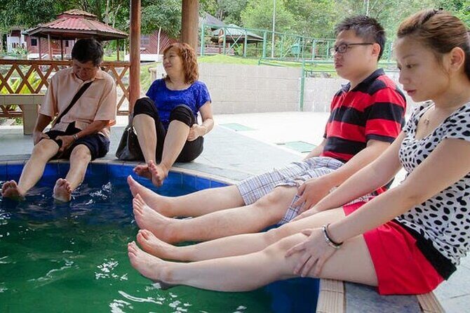 Kinabalu Park Tour with Desa Dairy Farm & Poring Hot Springs - FAQ