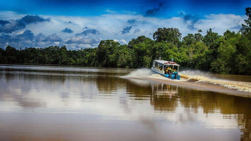 Kinabatangan River Trip from Sandakan with Lunch Included - Starting Point: Comfort in Pickup & Transportation