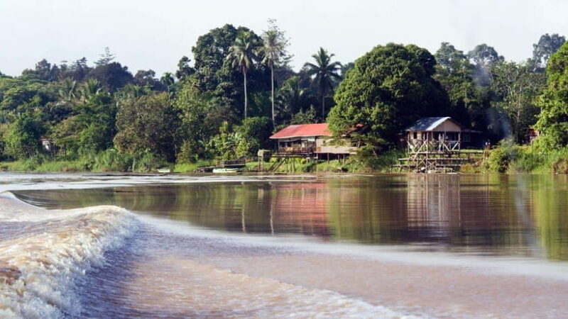 Kinabatangan River Trip from Sandakan with Lunch Included - Why This Tour Works Well
