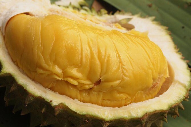 King of Tropical Fruits - Durian Tasting Tour From Kuala Lumpur - Who Might Want to Skip It?