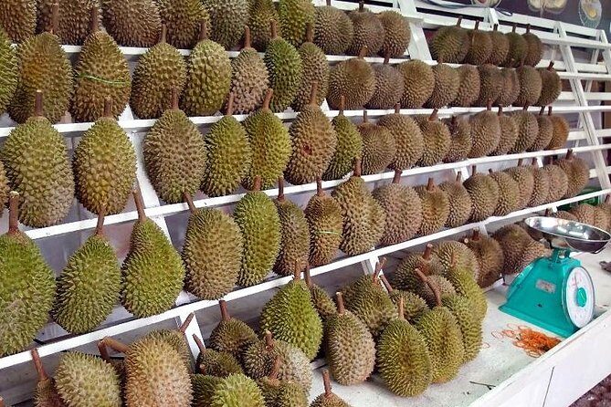King of Tropical Fruits - Durian Tasting Tour From Kuala Lumpur - Frequently Asked Questions