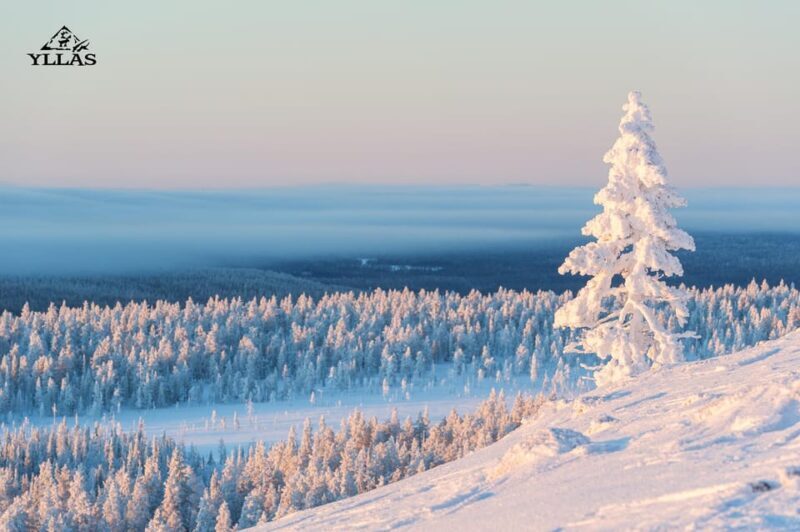 King of Ylläs: Snowmobiling to the Hill - Who Should Consider This Tour?