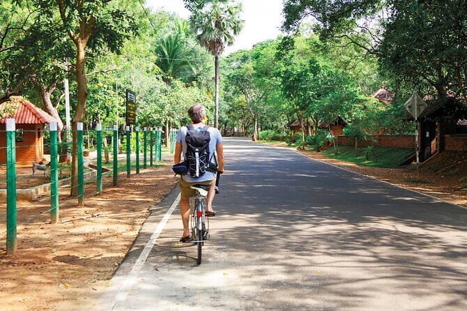 Kingdom Trail Cycling Tour from Mount Lavinia - An In-Depth Look at the Tour Experience