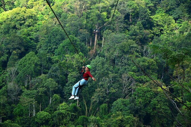 Kingkong Smile Zipline Adventure Tour From Chiang Mai - Introducing the Zipline Experience That’s Hard to Beat