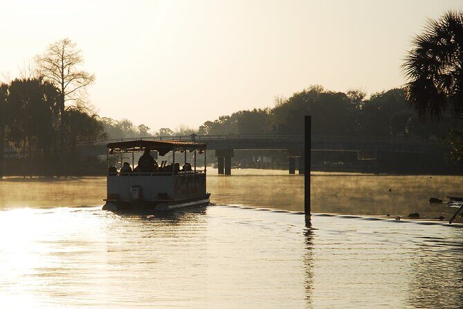 Kings Bay Crystal River Eco Cruise - A Closer Look at the Kings Bay Crystal River Eco Cruise