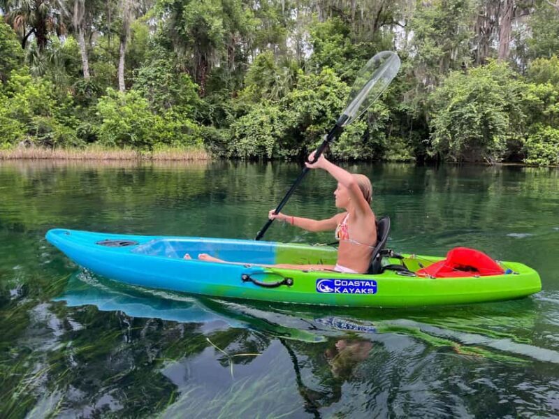 Kings Bay, Crystal River: Gentle Sunrise Manatee Kayak Tour - Who This Tour Is Best For