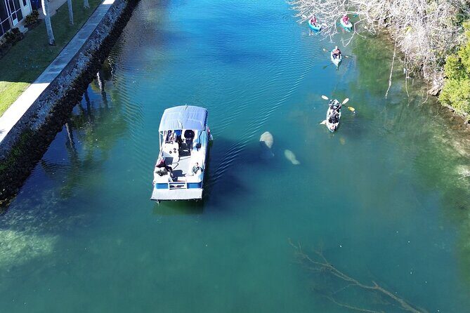 Kings Bay Eco Tours - An In-Depth Look at Kings Bay Eco Tours