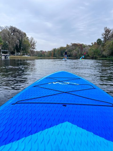 Kings Bay/Three Sisters: Self Guided Tour- ClearBottom Kayak - An In-Depth Look at the Experience