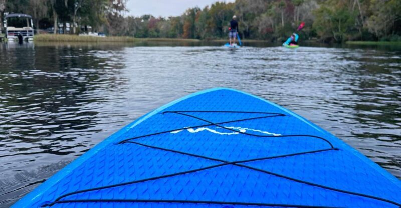 Kings Bay/Three Sisters: Self Guided Tour- ClearBottom Kayak - Who Will Love This Tour?