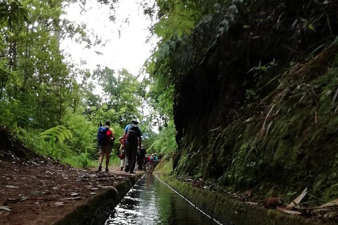 Kings Levada - São Jorge - An In-Depth Look at This Guided Hike