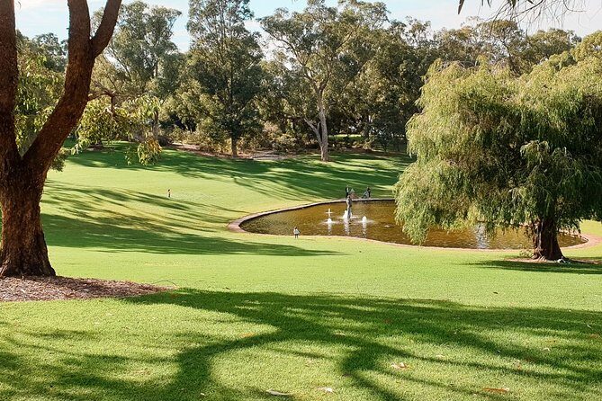 Kings Park Botanicals And Beyond - A Closer Look at the Kings Park & Botanic Garden Tour