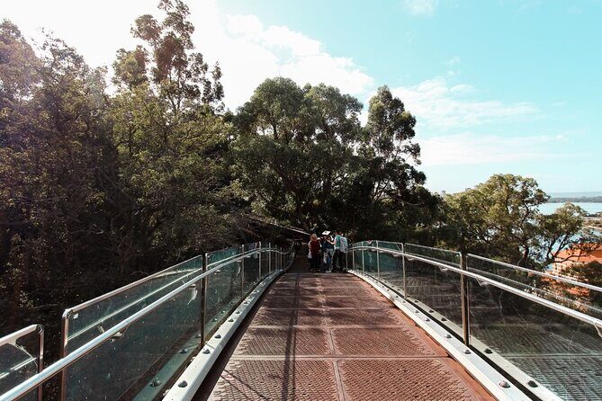 Kings Park Botanicals And Beyond - Who Should Consider This Tour?