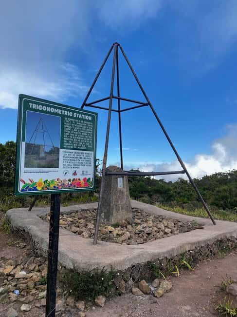 Kingston: Blue Mountain Peak Hike and Coffee Farm Experience - An In-Depth Look at the Tour
