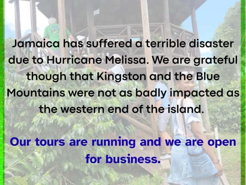 Kingston Blue Mountains Tour with Coffee Tasting - Key Points