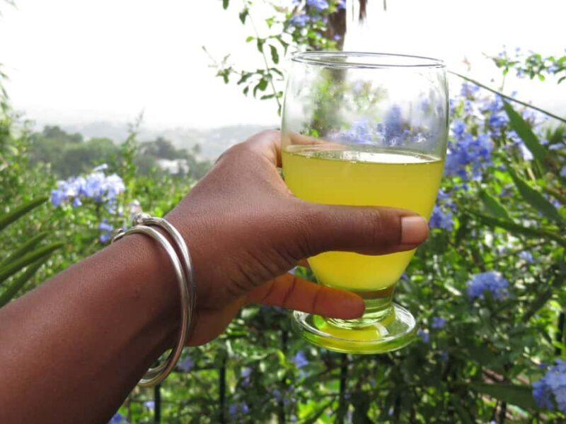 Kingston Blue Mountains Tour with Coffee Tasting - An In-Depth Look at the Tour