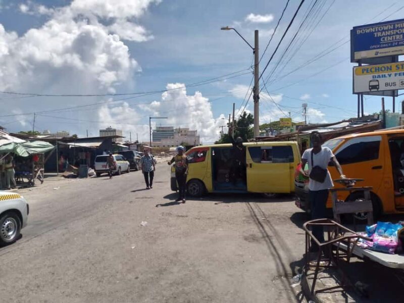 Kingston like a local  the authentic city tour - Who is this tour best for?