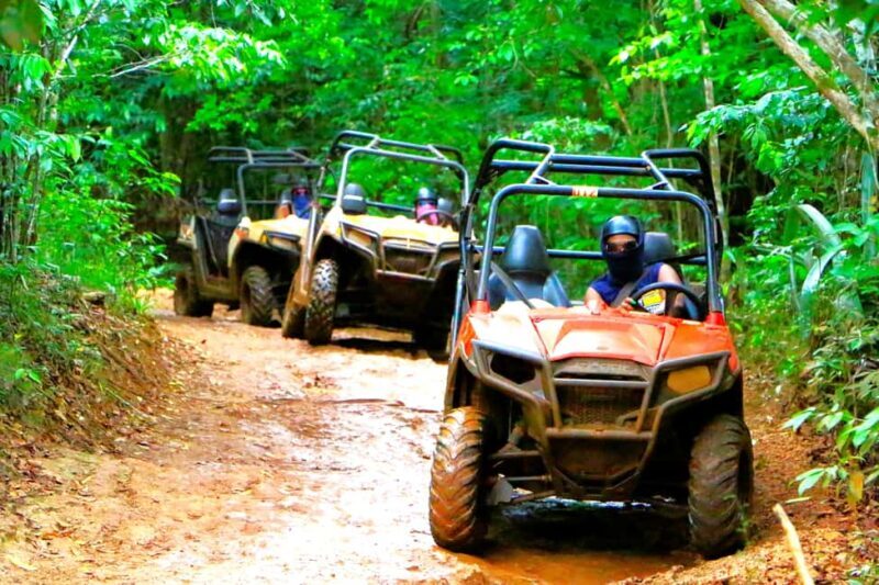 Kingston: Tropical Off-Road ATV Tour with Lunch and Transfer - Introduction: A Taste of Jamaica’s Countryside with a Thrill
