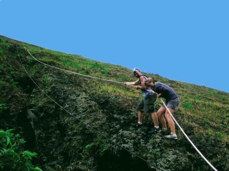 Kingstown: La Soufriere Volcano Tour - Key Points