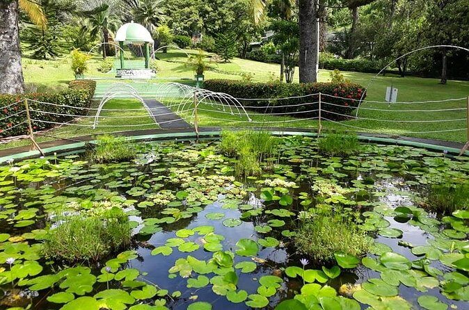 Kingstown Tour And Beach - Private Tour - FAQ