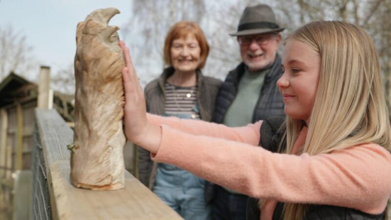 Kingussie: Highland Wildlife Park Entry Ticket - FAQ