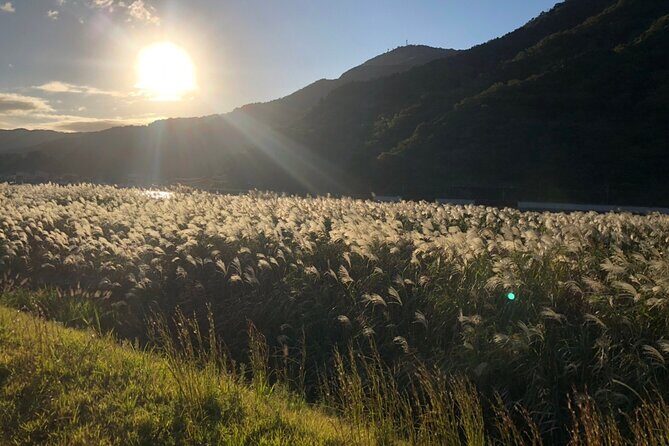 Kinosaki:Rental Electric scooter-Hidden Alleyways route-/90min - Frequently Asked Questions