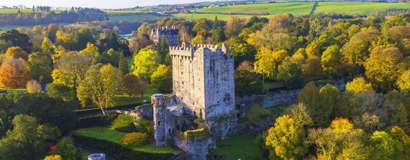 Kinsale: Blarney Castle & Cobh Half Day Tour in Cork - Why This Tour Could Be Perfect for You