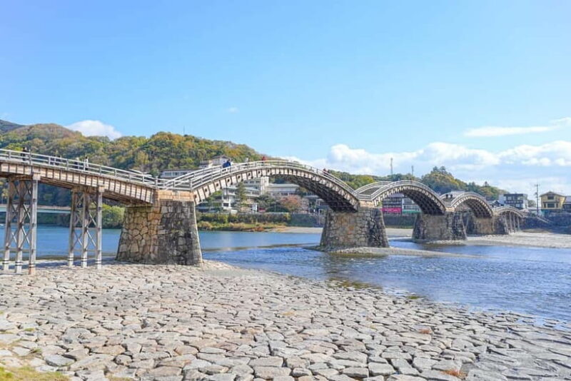 Kintai-Kyo Bridge and Iwakuni Castle with local guide 3h - Who Should Consider This Tour?