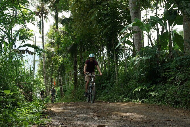 Kintamani Cultural and Nature Cycling Tour ( Manual Bike ) - Introduction: A Gentle Ride into Bali’s Heart