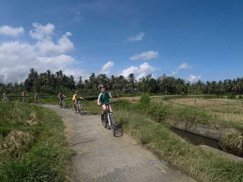 Kintamani Culture and Nature Guided Cycling Tour - Practical Considerations