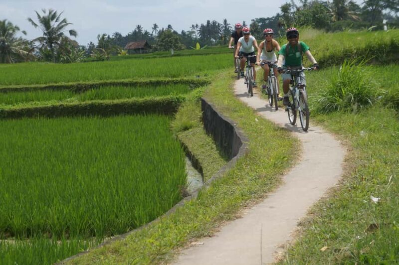 Kintamani Culture and Nature Guided Cycling Tour - Who Will Love This Tour?