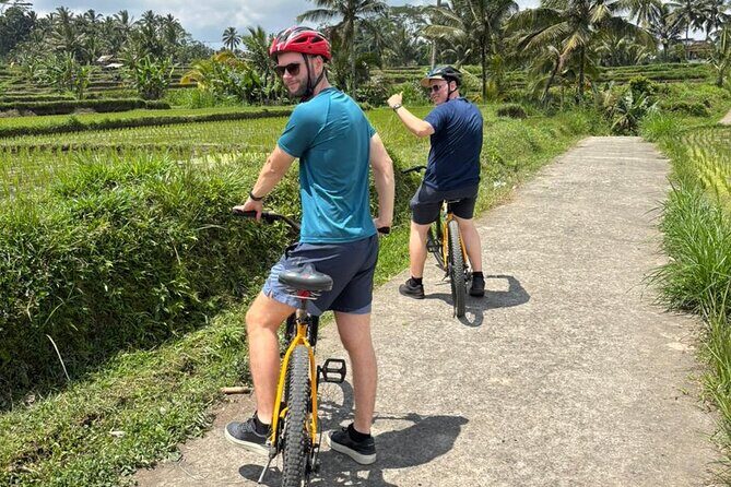 Kintamani Down Hill Cycling - A Detailed Look at the Kintamani Down Hill Cycling Tour