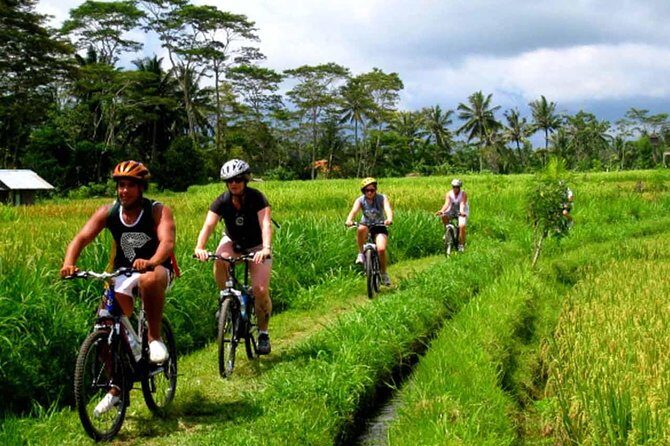 Kintamani Downhill Bike Tour - An Honest Look at the Itinerary