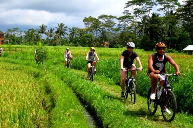 Kintamani Downhill Cycling Adventure - Key Points