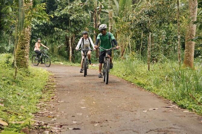 Kintamani to Ubud Downhill Bike Tour with Lunch - A Practical and Authentic Bali Bike Tour: Kintamani to Ubud Downhill Bike with Lunch